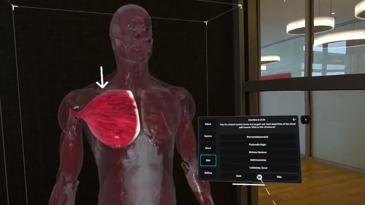 Human Anatomy Tutorial